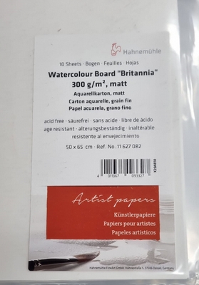 Britannia aquarelpapier 10 vel 50 x 65 - Deva
